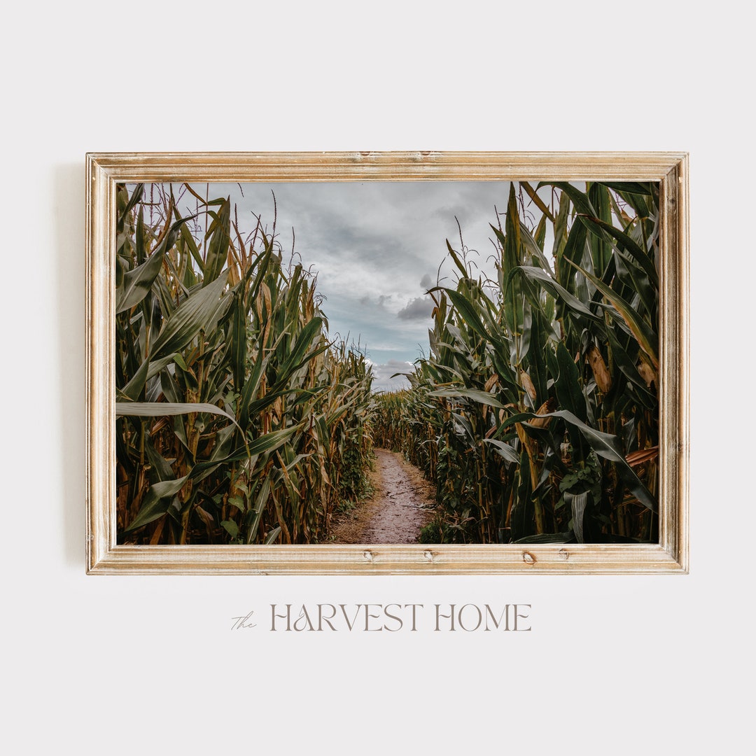 Corn Maze Wall Art, Corn Stalk Poster, Autumn Farm Decor, Corn Maze ...