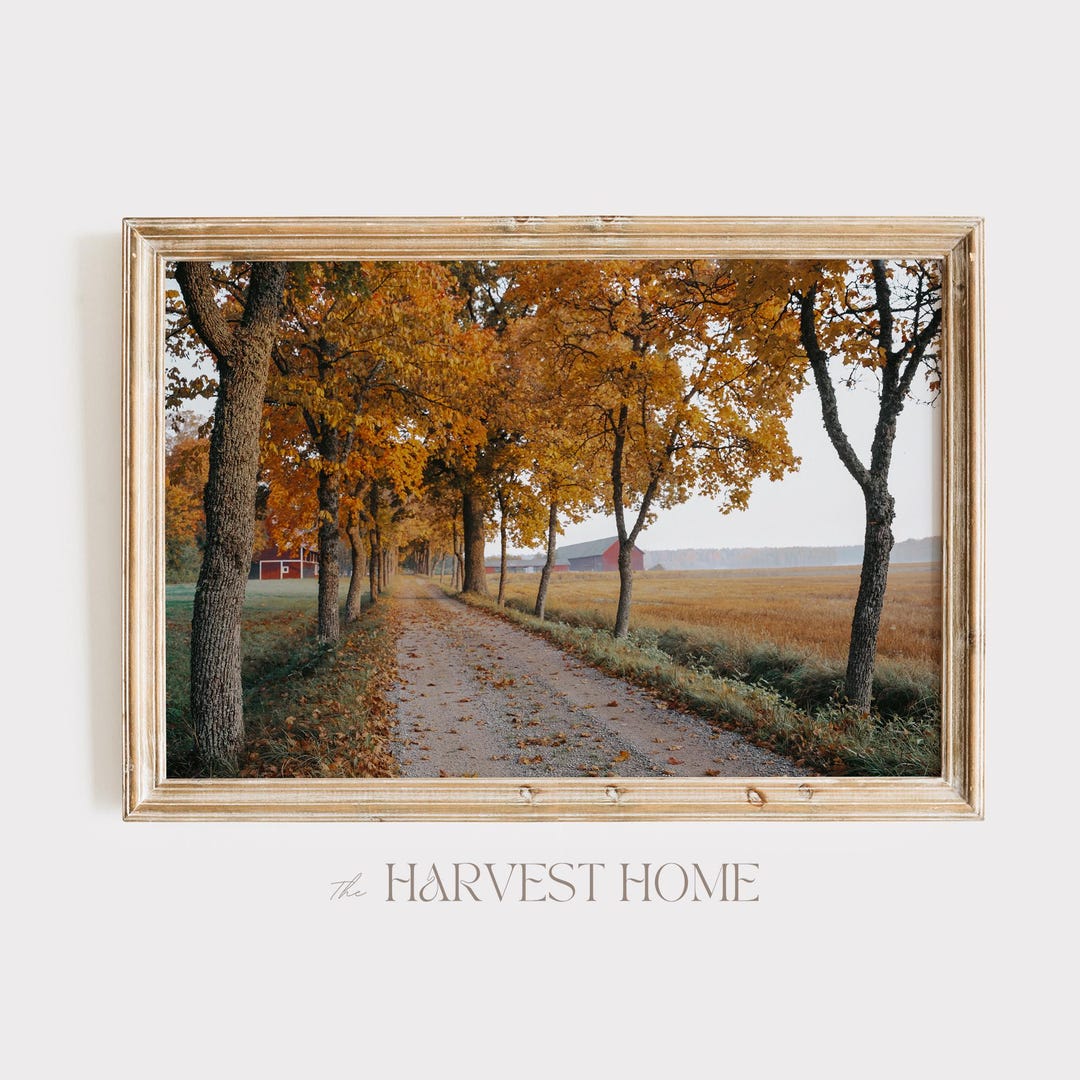 Rustic Country Road Print, Autumn Photography, Color Changing Leaves ...