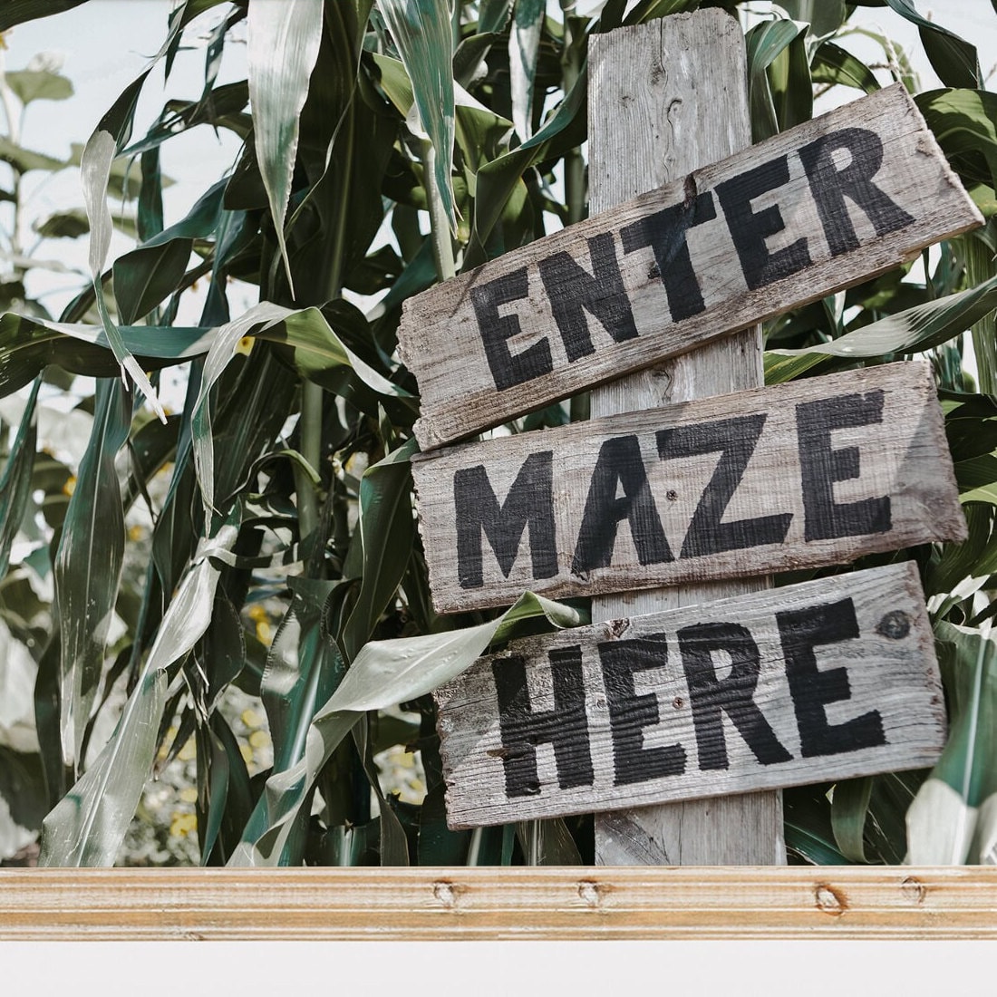 Enter Corn Maze Here Sign Print, Fall Activities Poster, Corn Maze Wall ...