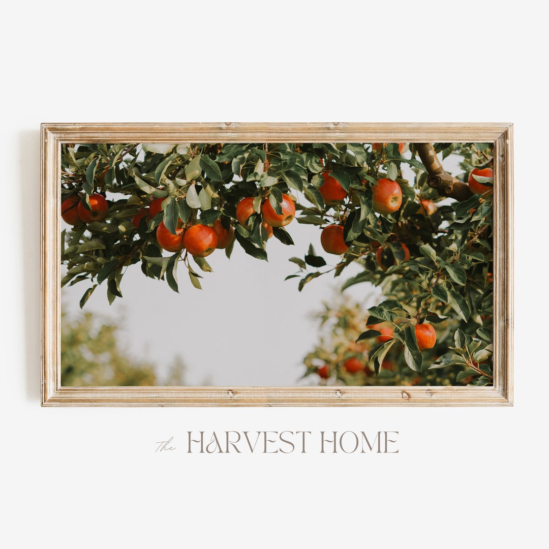 Apple Orchard Frame TV Art | Samsung Frame TV Art | Apple Picking TV ...