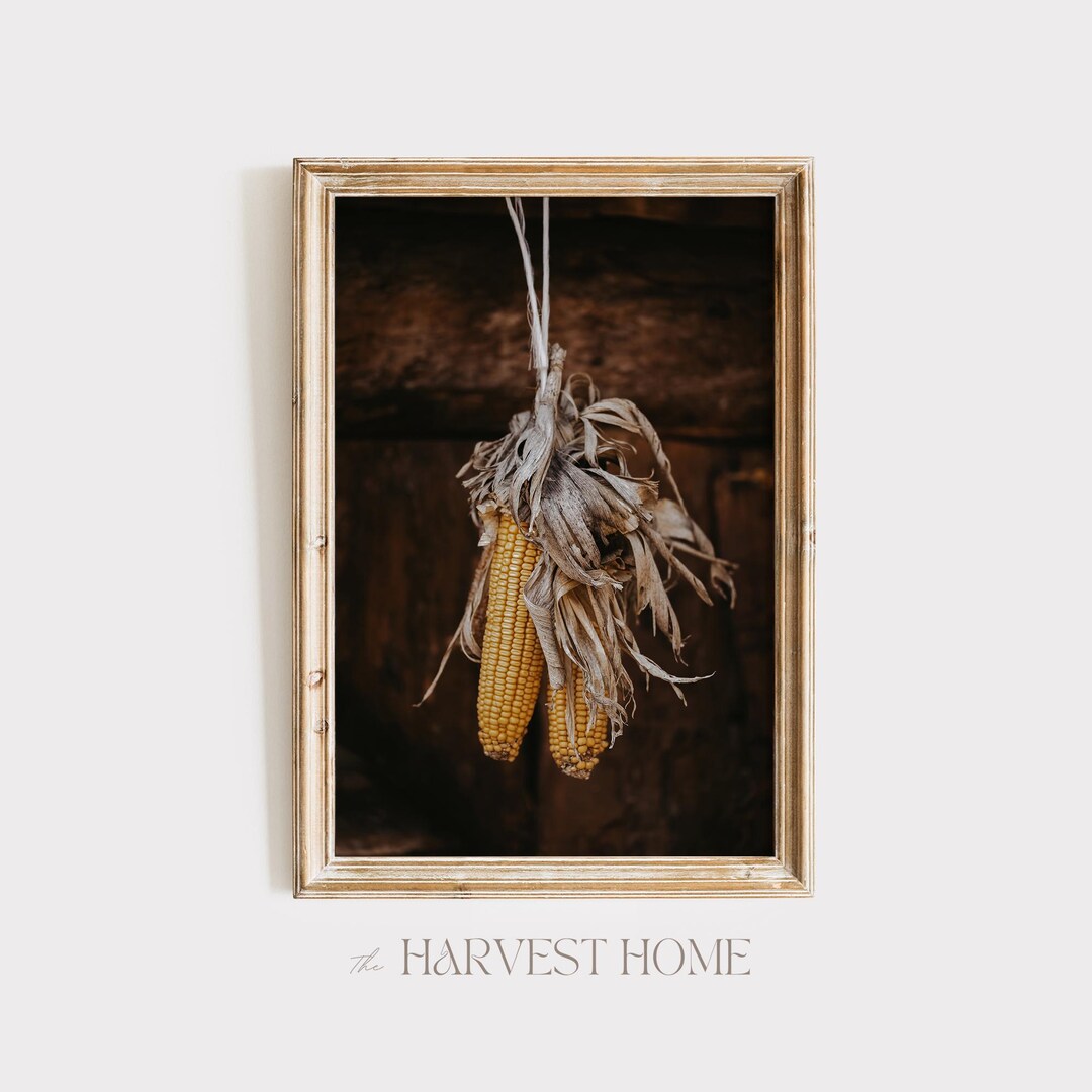 Corn Hanging to Dry Print, Indian Corn Poster, Rustic Farmhouse Art ...