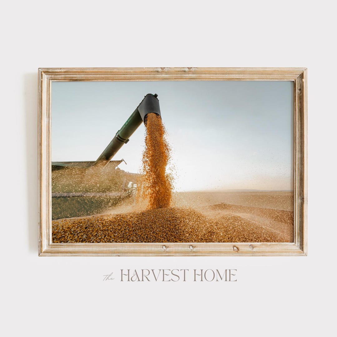 Fall Corn Harvest Print, Farmhouse Wall Art, Rustic Home Decor, Dried ...