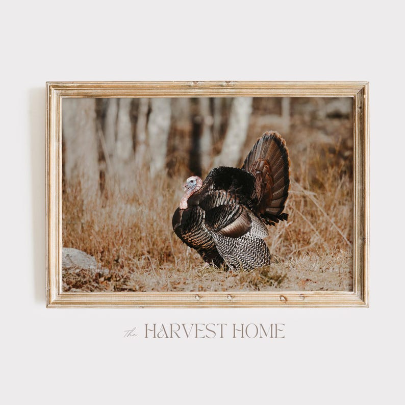 Western Turkey Print, Rustic Lodge Decor, Turkey Photography ...