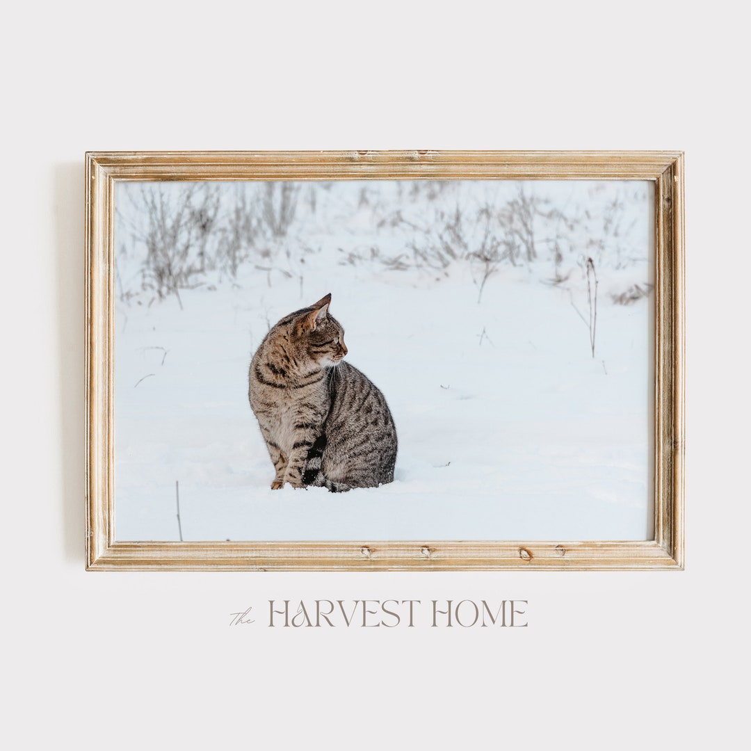 Tabby Cat in the Snow, Barn Cat Wall Art, Farm Scenery Print, Winter ...
