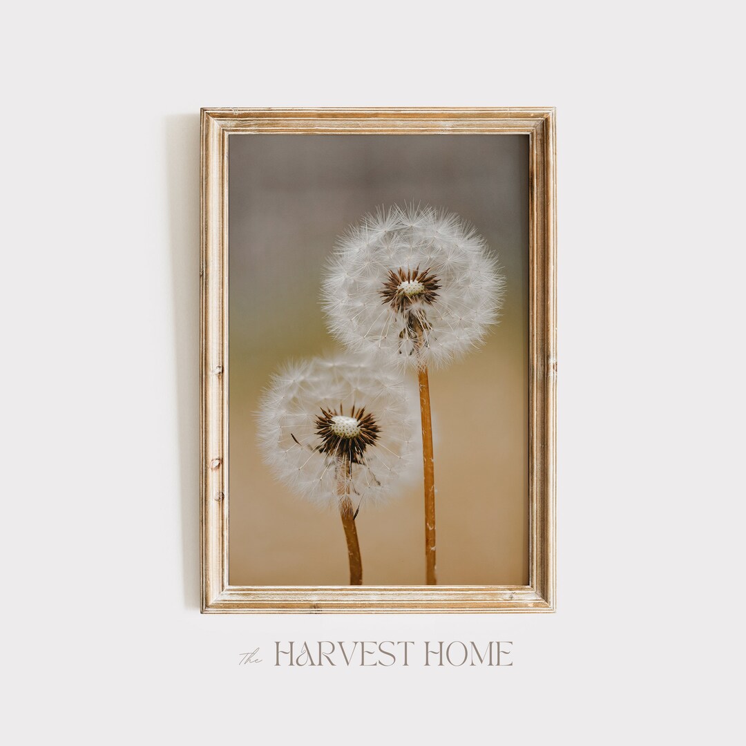Farmhouse Dandelion Print, Rustic Home Decor, Dried Dandelion Seeds ...