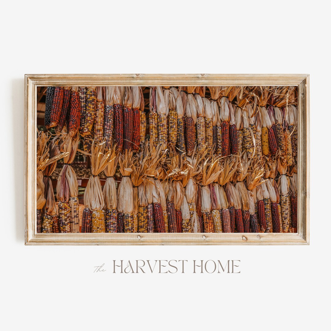 Dried Indian Corn TV Art | Samsung Frame TV Art | Fall Harvest TV Decor ...