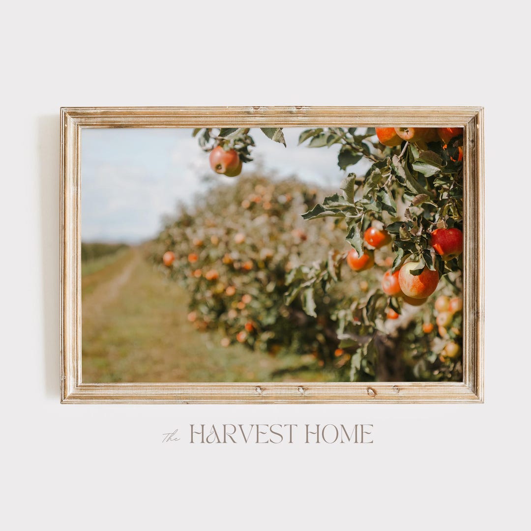 Apple Orchard Print, Apple Farm Poster, Farmhouse Decor, Apple Kitchen ...