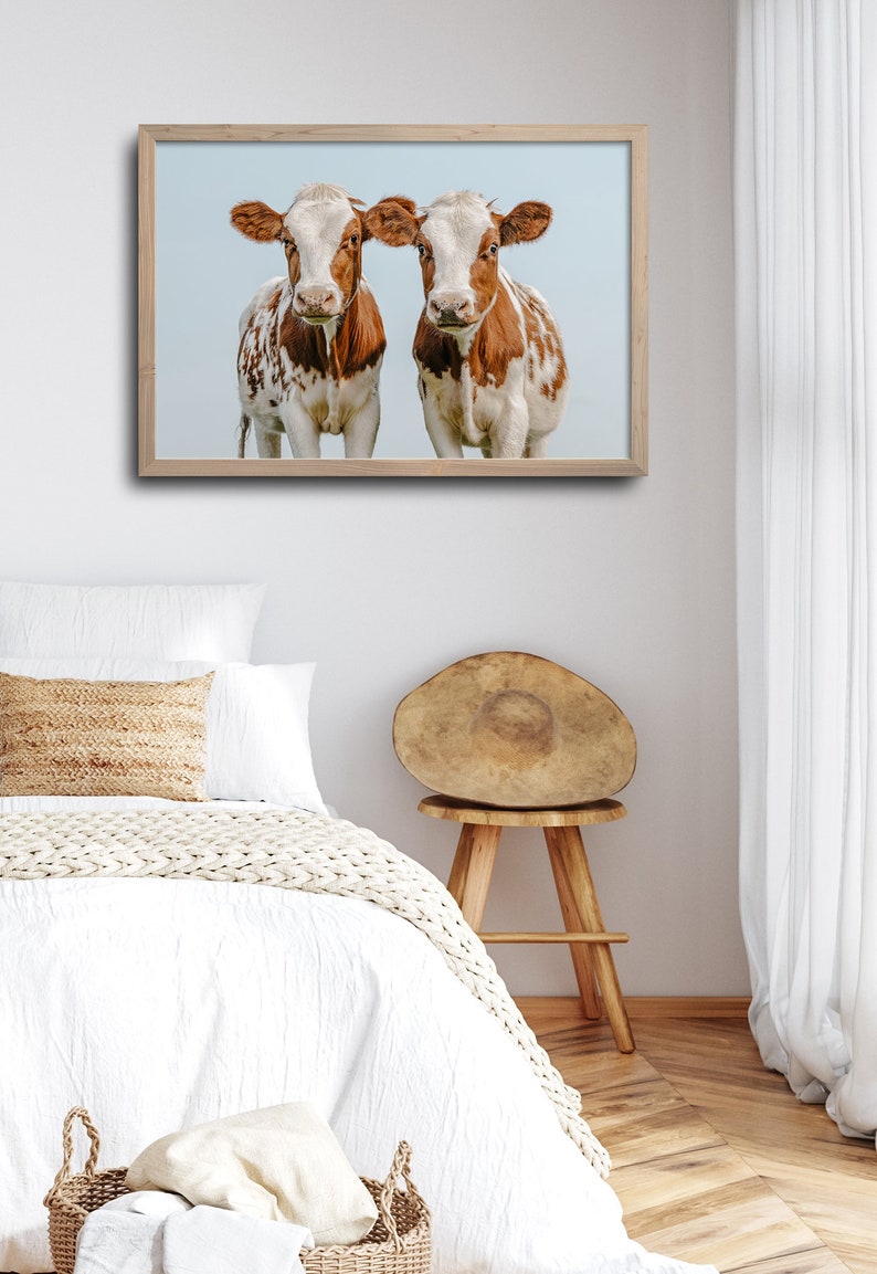 Two Cow Calves Wall Art, Brown and White Cow Print, Baby Cow ...