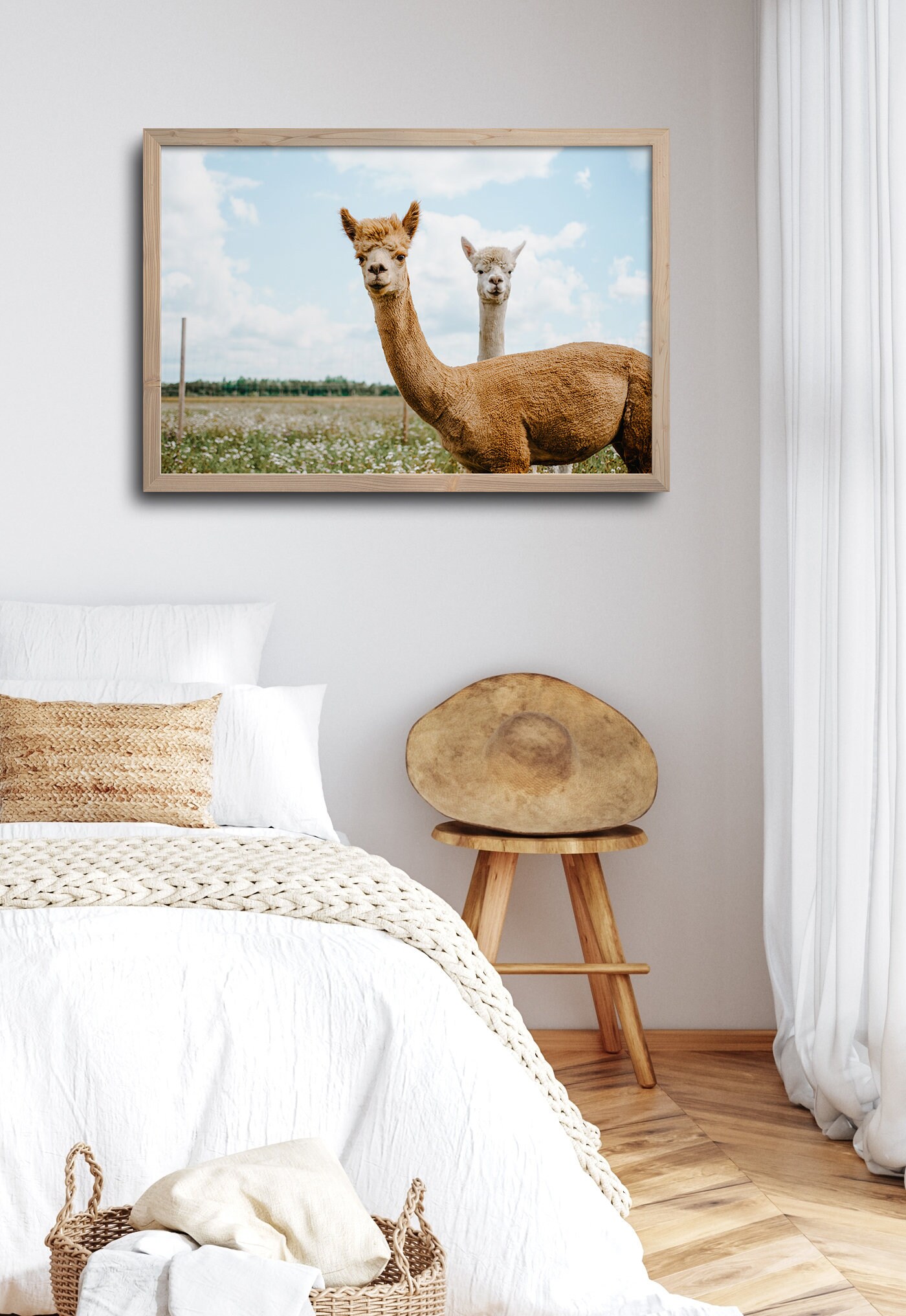Alpaca Friends Wall Art, Sheared Alpaca Poster, Summer Alpaca in ...