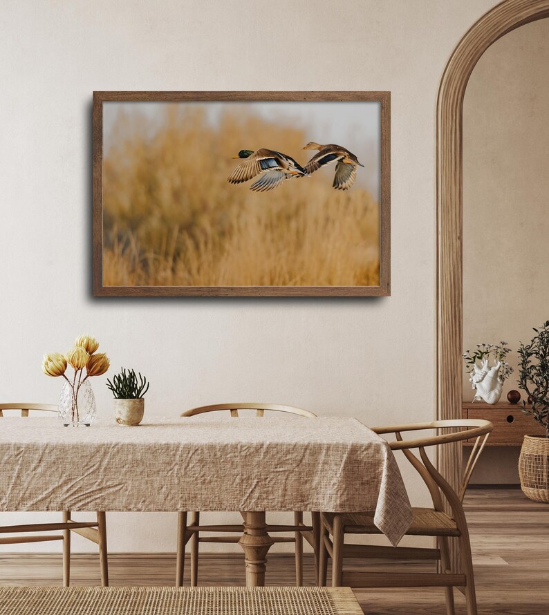 Mallard Ducks Taking Flight Print, Midwest Scenery, Autumn Wildlife ...