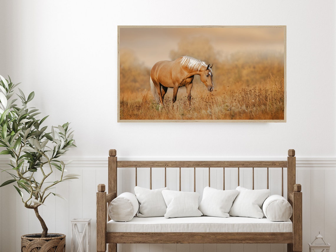 Samsung Frame TV Art | Autumn Horse TV Decor | Palomino Horse Photo ...