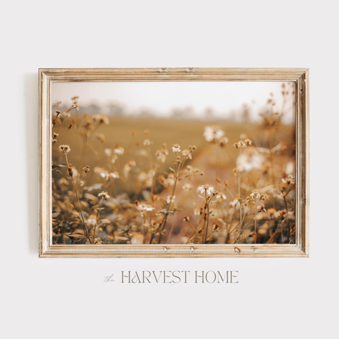White Daisy Field Print, Autumn Home Decor, Dried Flower Poster, Beige ...