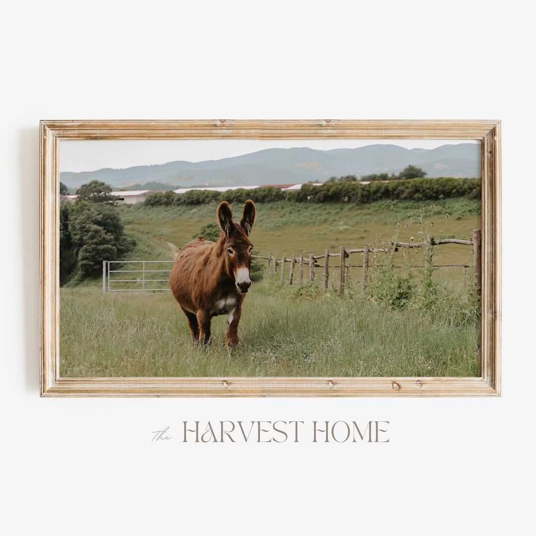 Donkey Farm Frame TV Art | Summer Pasture Photo | Brown Donkey TV Art ...