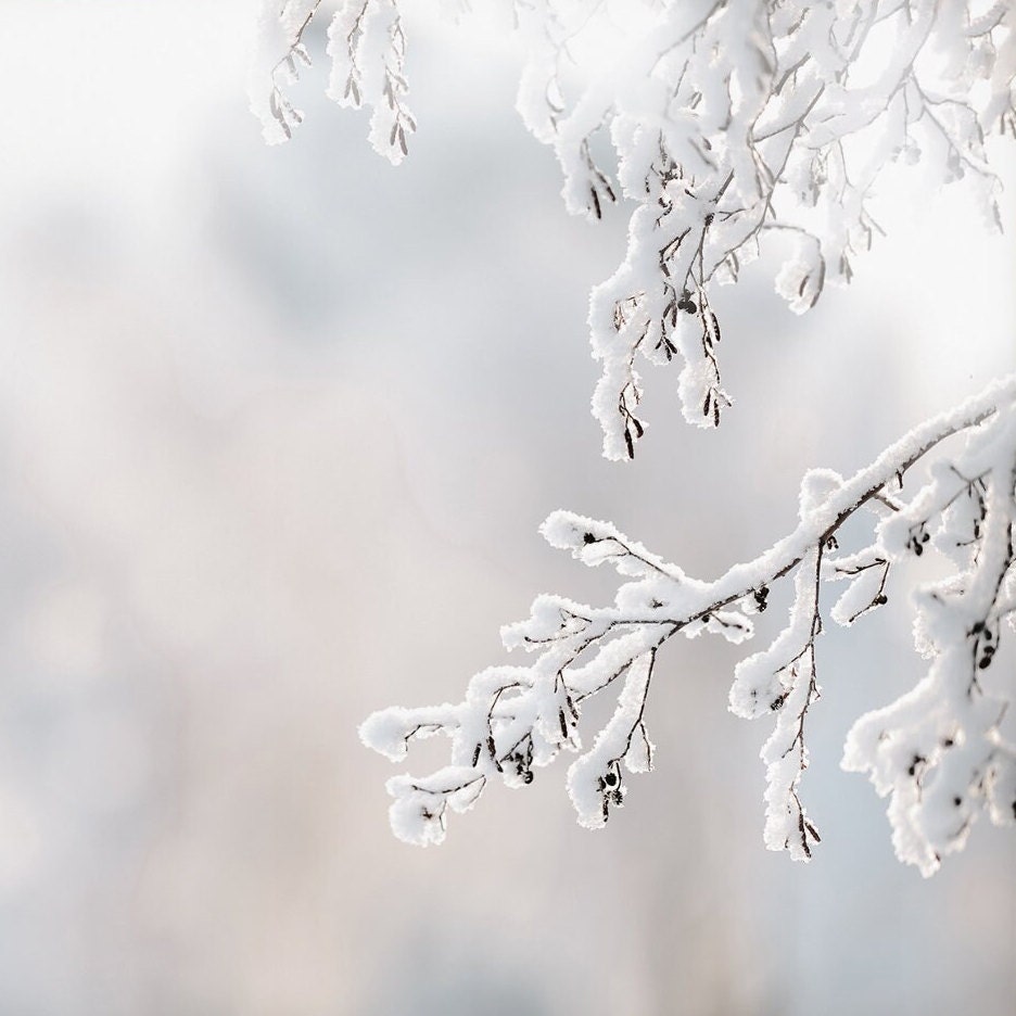 Farmhouse Gallery Set, Rustic Winter Decor, Horse Set of Prints, Rustic ...