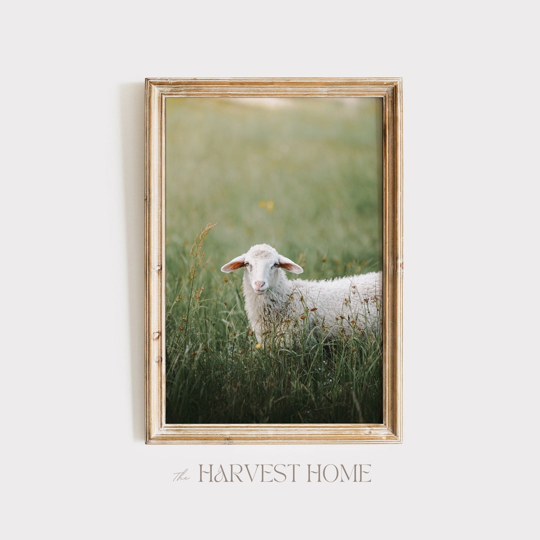 Lamb in Wildflowers Print, Farmhouse Decor, Summer Lamb Poster ...