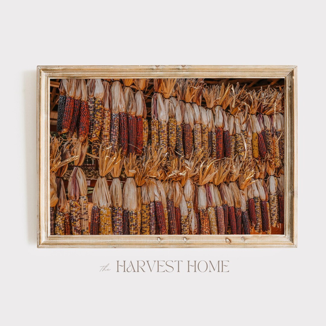 Indian Corn Hanging to Dry Print, Rustic Farmhouse Decor, Indian Corn ...