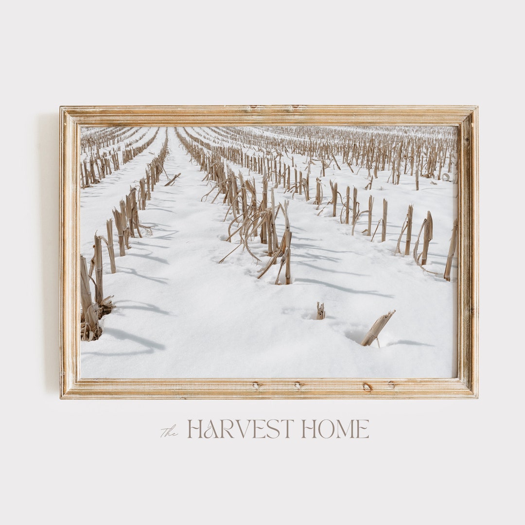 Snow Covered Corn Field Print, Farm Landscape, Winter Scenery Poster ...