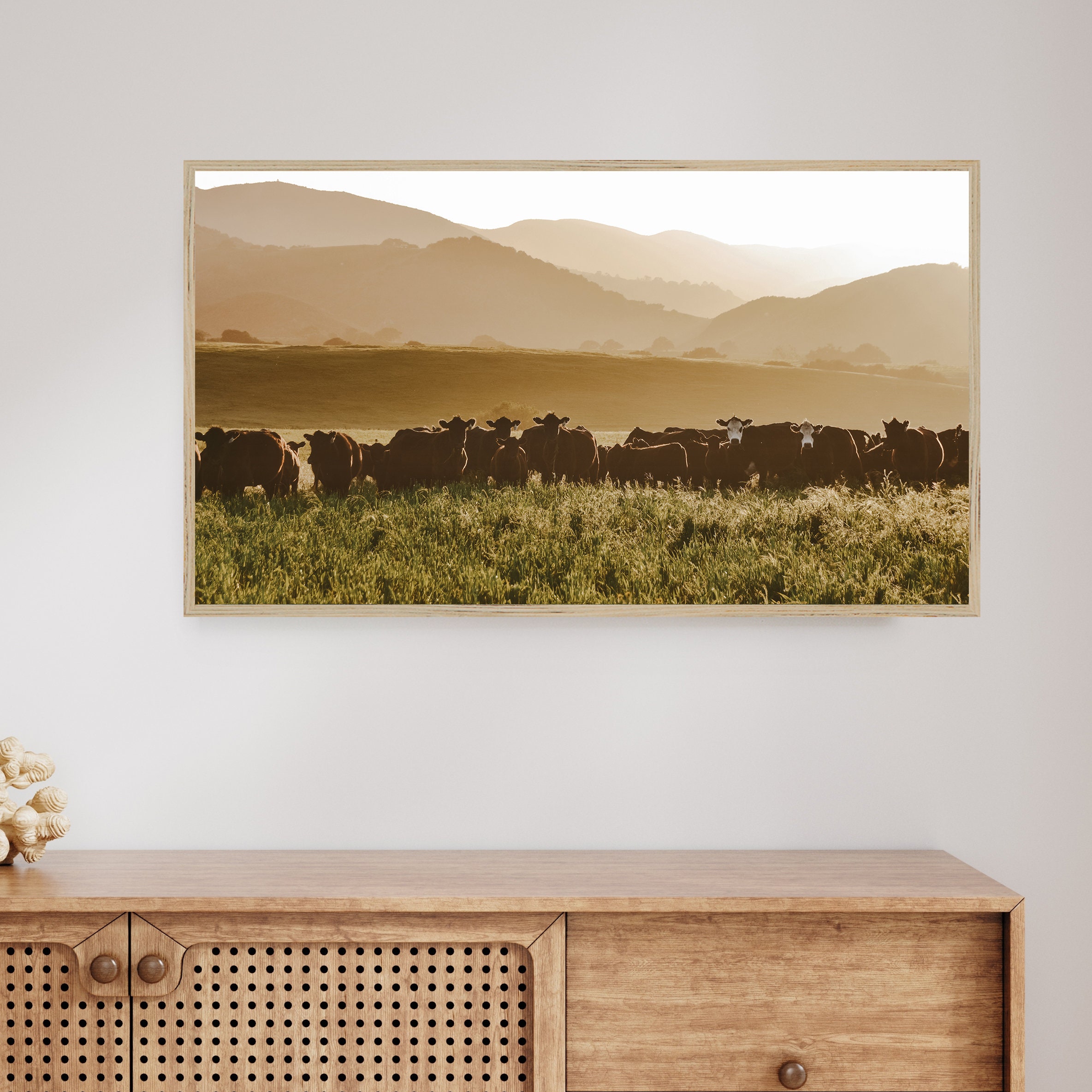 Black Angus Cow Sunset Frame TV Art | Summer Ranch Photo | Farmhouse ...