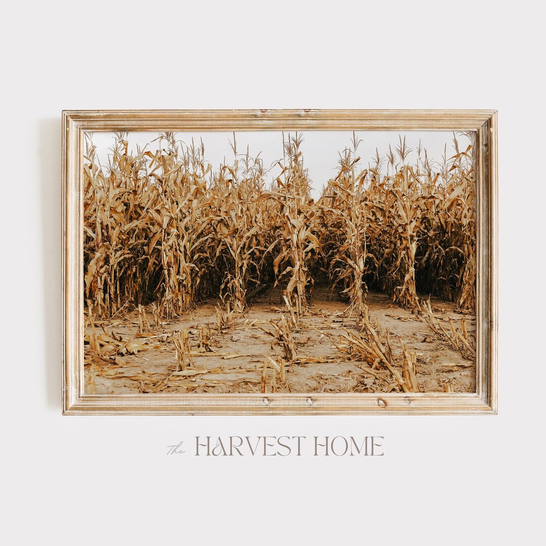 Dried Corn Stalks Print, Farm Harvest Poster, Neutral Home Decor ...