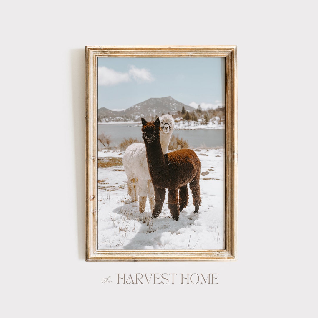 Two Winter Alpacas Wall Art, Farmhouse Poster, Winter Scenery Print ...