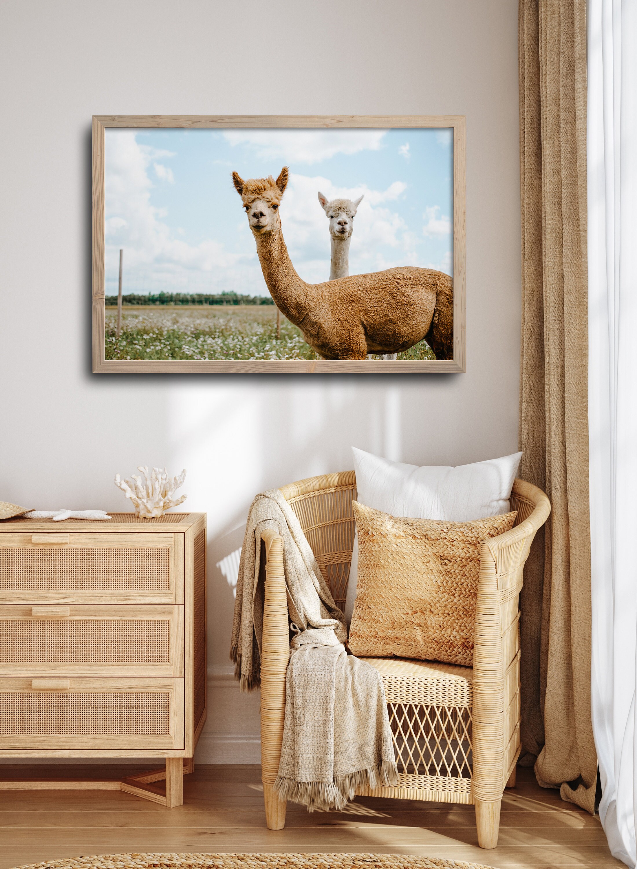 Alpaca Friends Wall Art, Sheared Alpaca Poster, Summer Alpaca in ...