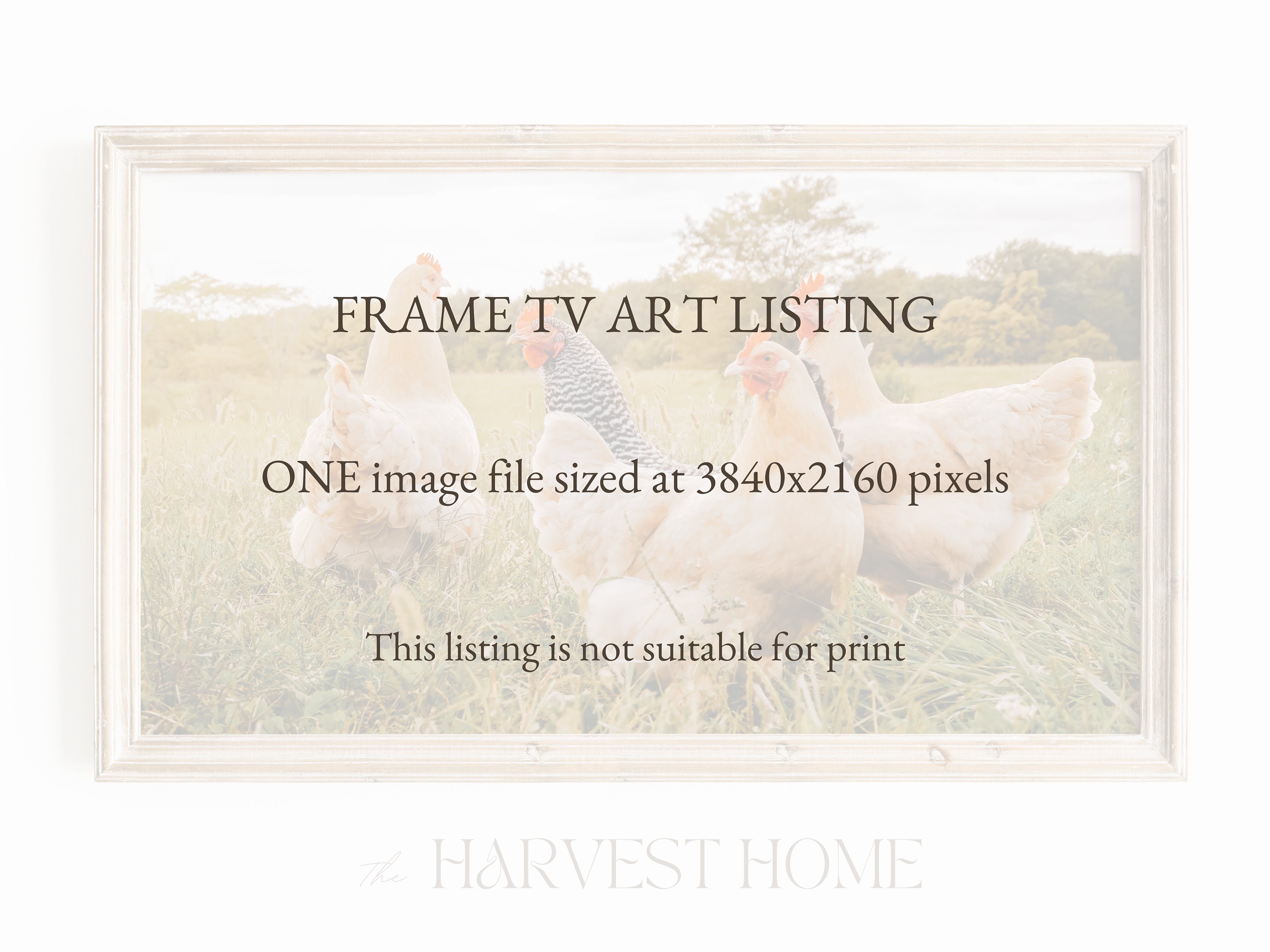 Brahman Cattle Frame TV Art | Summer Cow TV Decor | Farmhouse Cattle ...