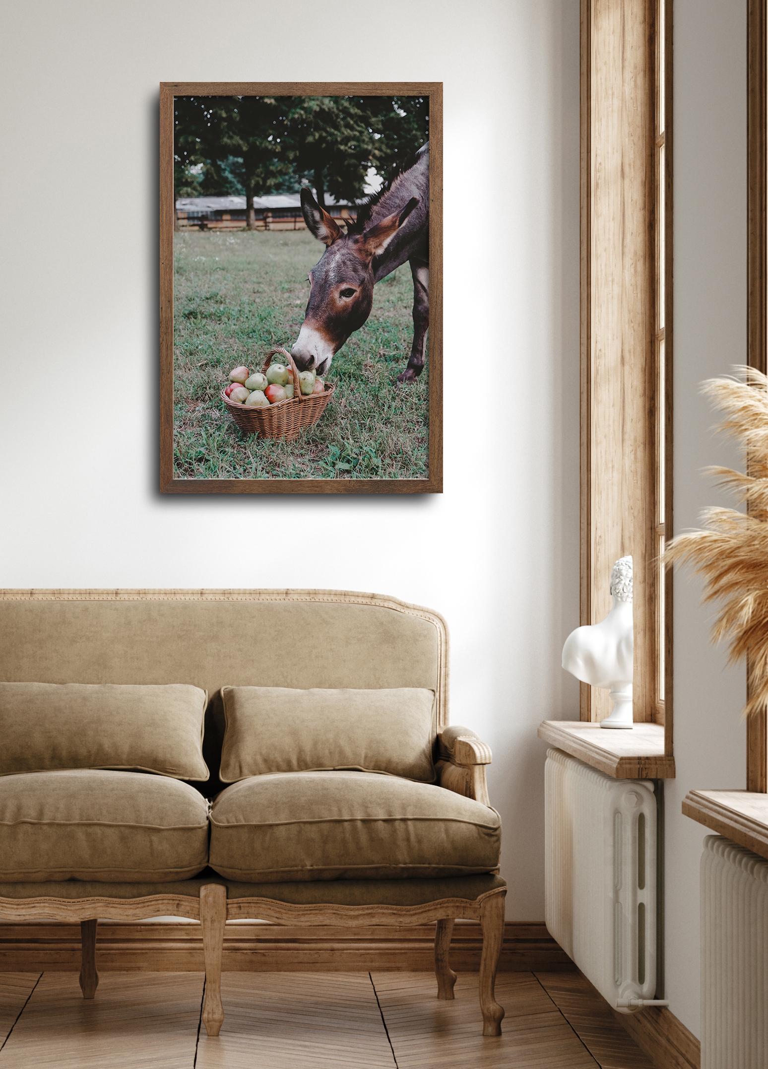 Mule Stealing Apples From the Basket Print, Autumn Apple Harvest ...