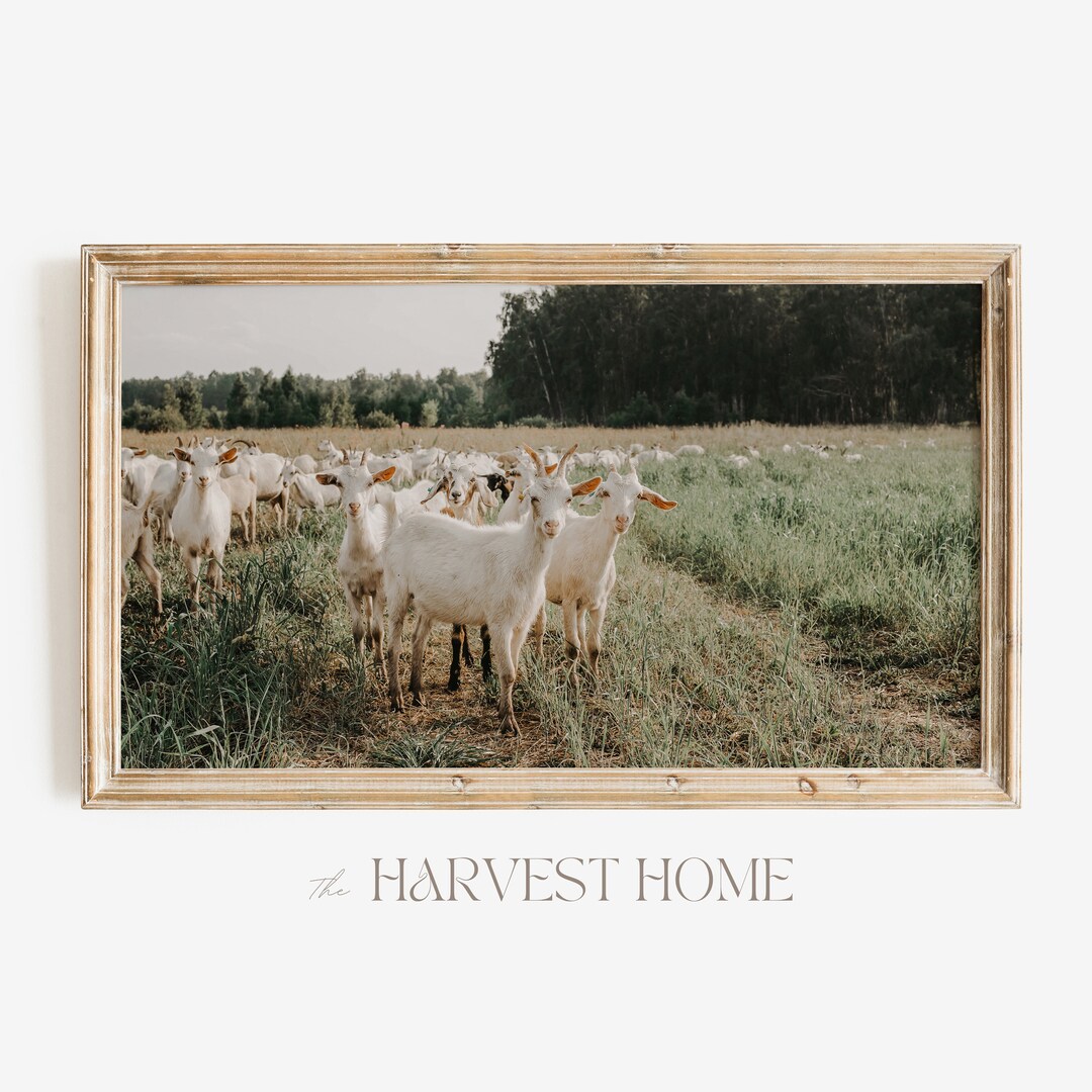 Summer Goat Herd Frame TV Art Farmhouse TV Decor Open Pasture TV Art ...