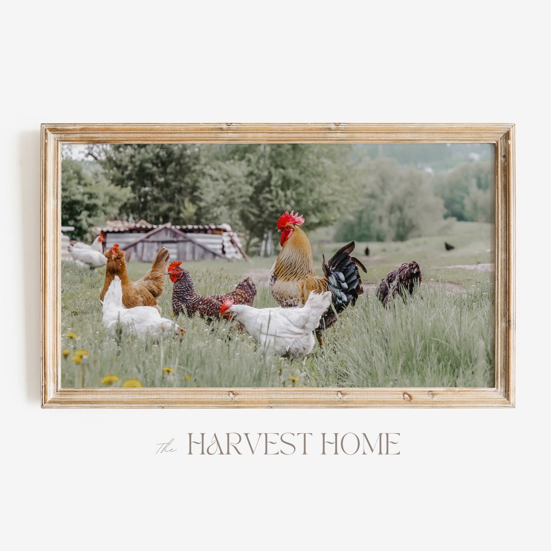 Rooster + Hens Frame TV Art | Rustic Summer Farm TV | Rooster Frame TV ...