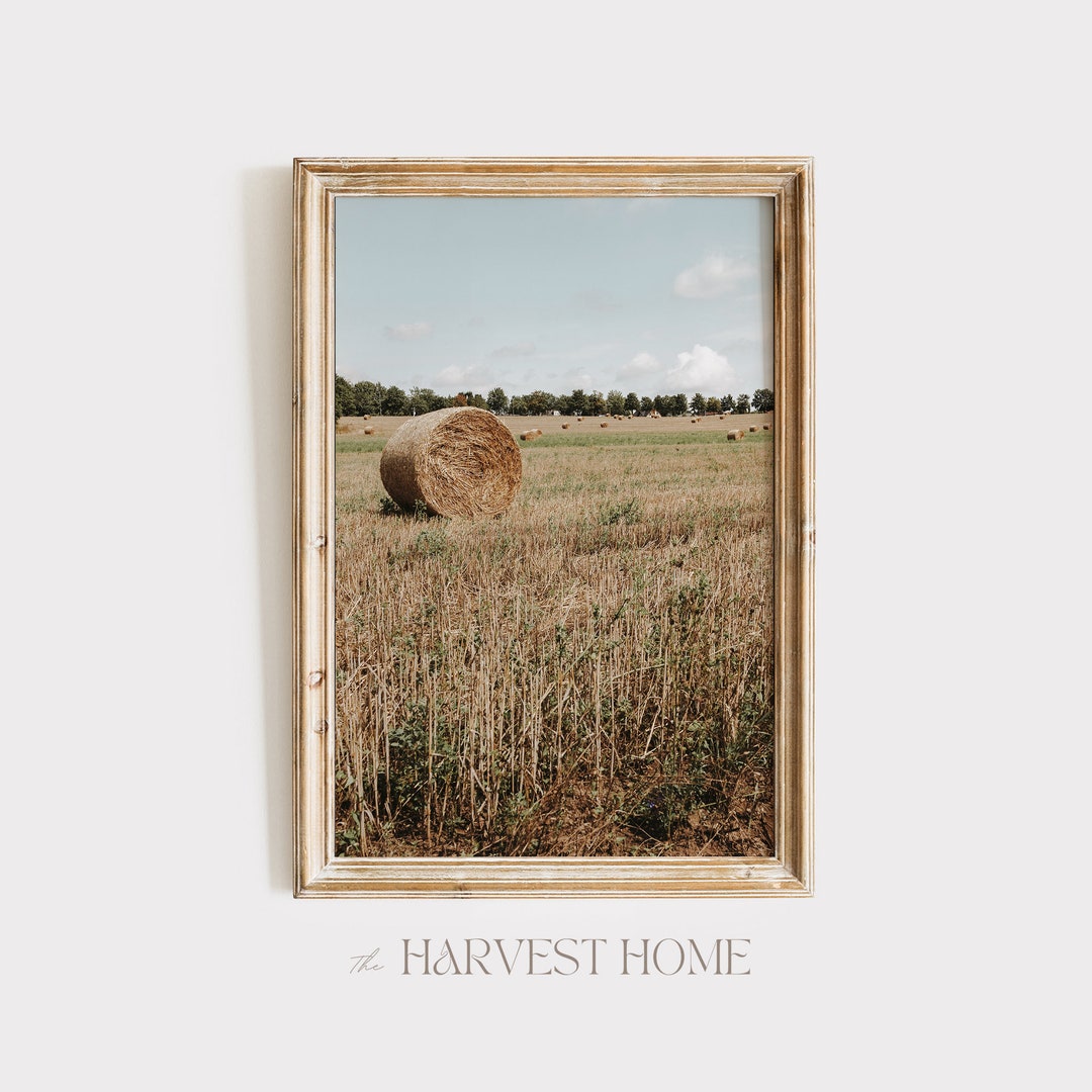Round Bale Hay Field Print, Countryside Scenery, Hay Farm Poster ...