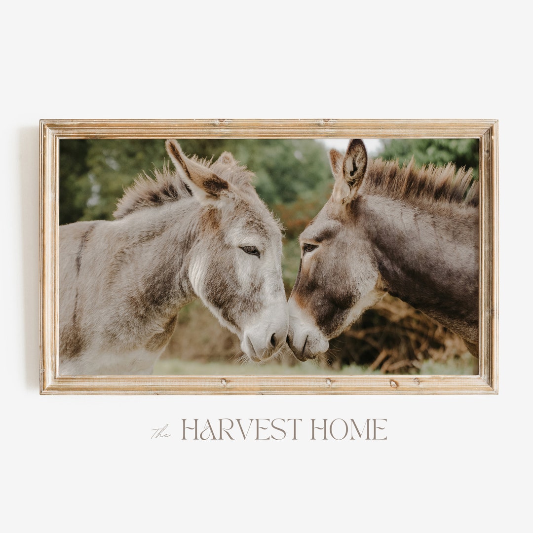 Donkey Friends Frame TV Art | Farmhouse TV Decor | Summer Donkey TV Art ...