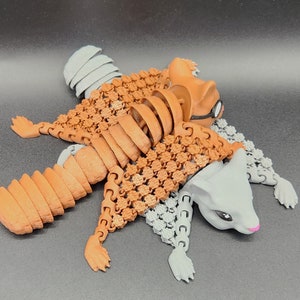 Cute Flexi Flying Squirrels - 3D Models - Etsy