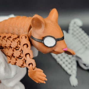 Cute Flexi Flying Squirrels - 3D Models - Etsy