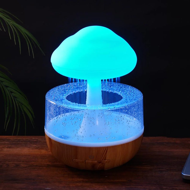 2-in-1 Desk Humidifier Zen Diffuser Raining Cloud Night Light - Etsy