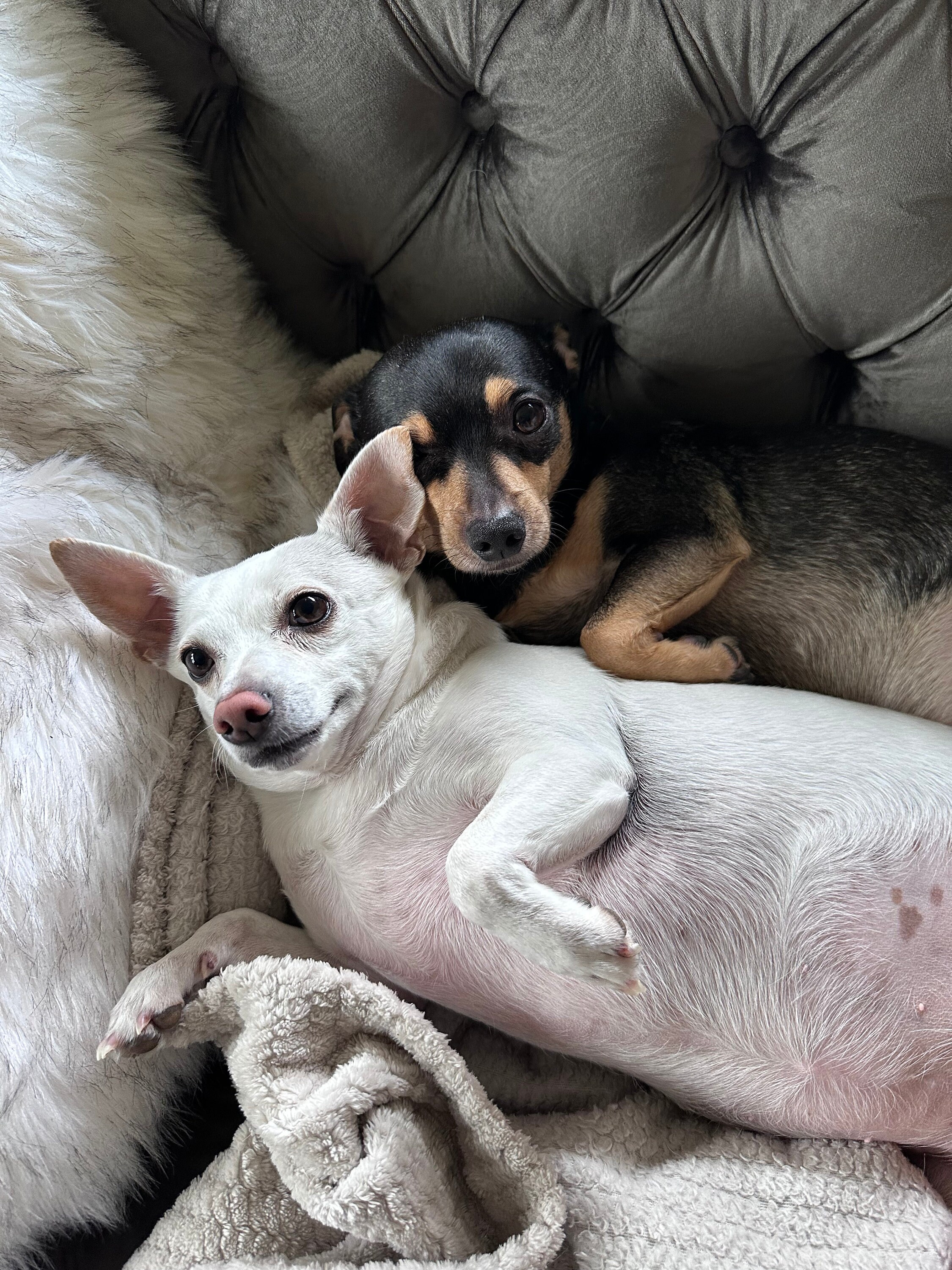 Tricky Triangle Game - Etsy