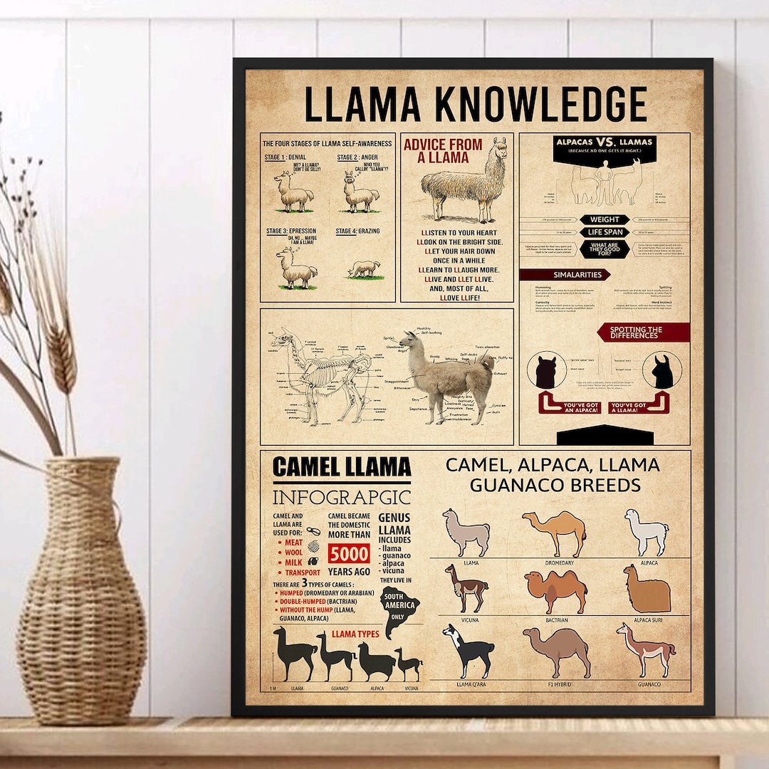 Llama Knowledge Poster Llama Poster Llama Lover Gift Llama - Etsy