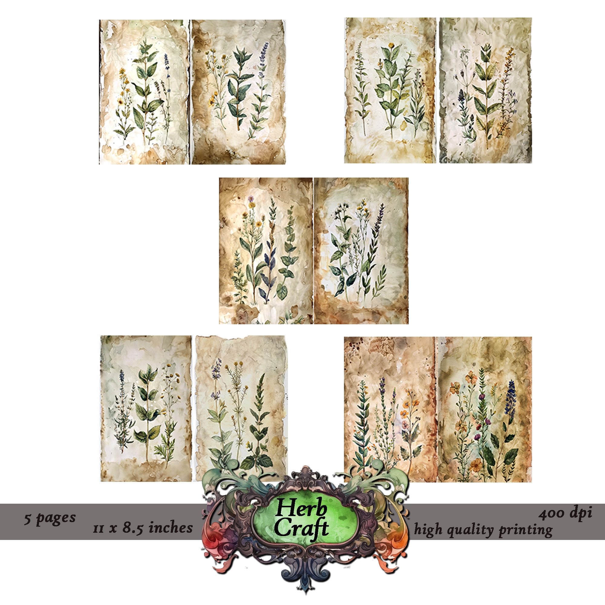 Herb Craft, Herbal Junk Journal Pages, Apothecary Digital Pages, Plant ...