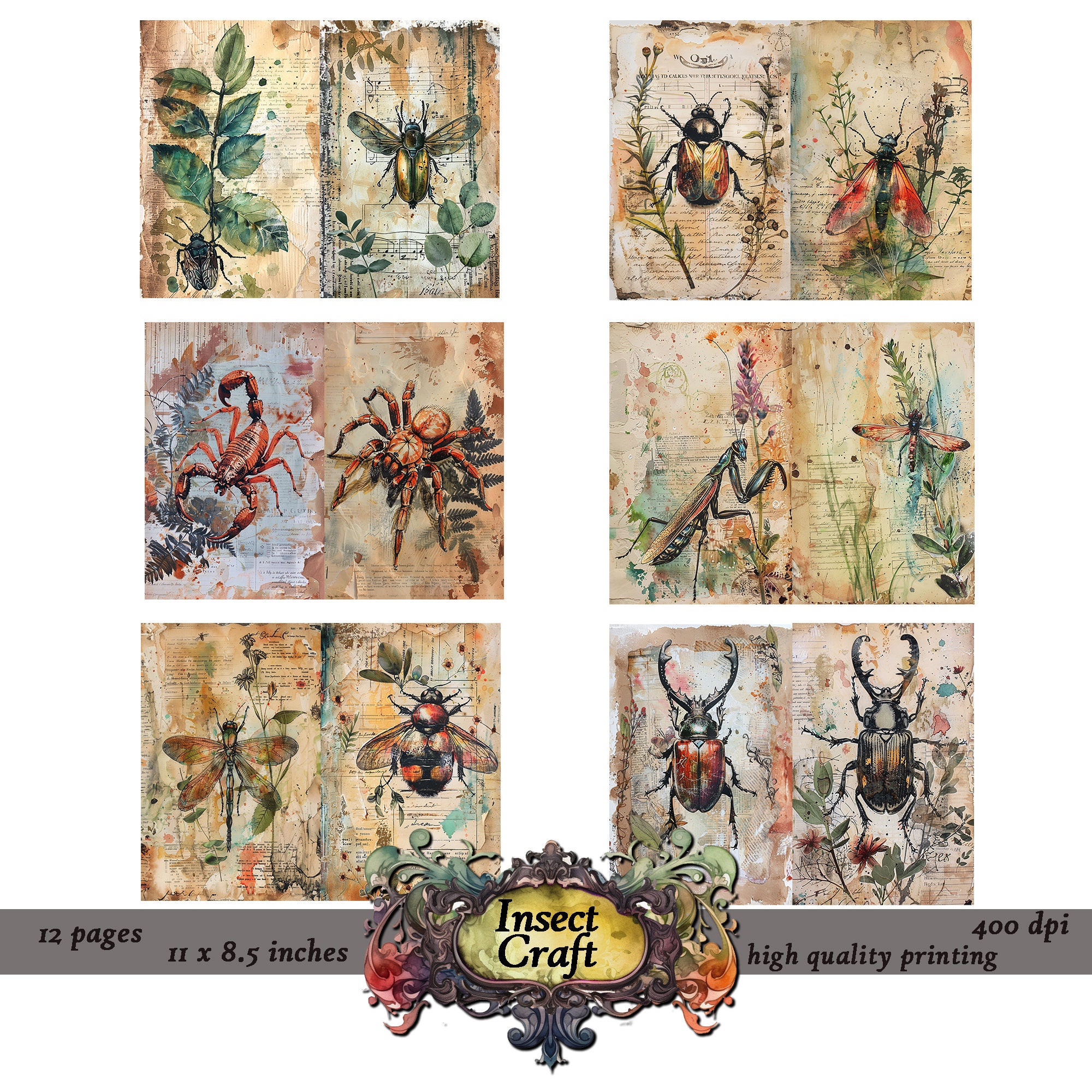 Insect Craft-bugging Out, Insect Junk Journal, Bug Printable ...