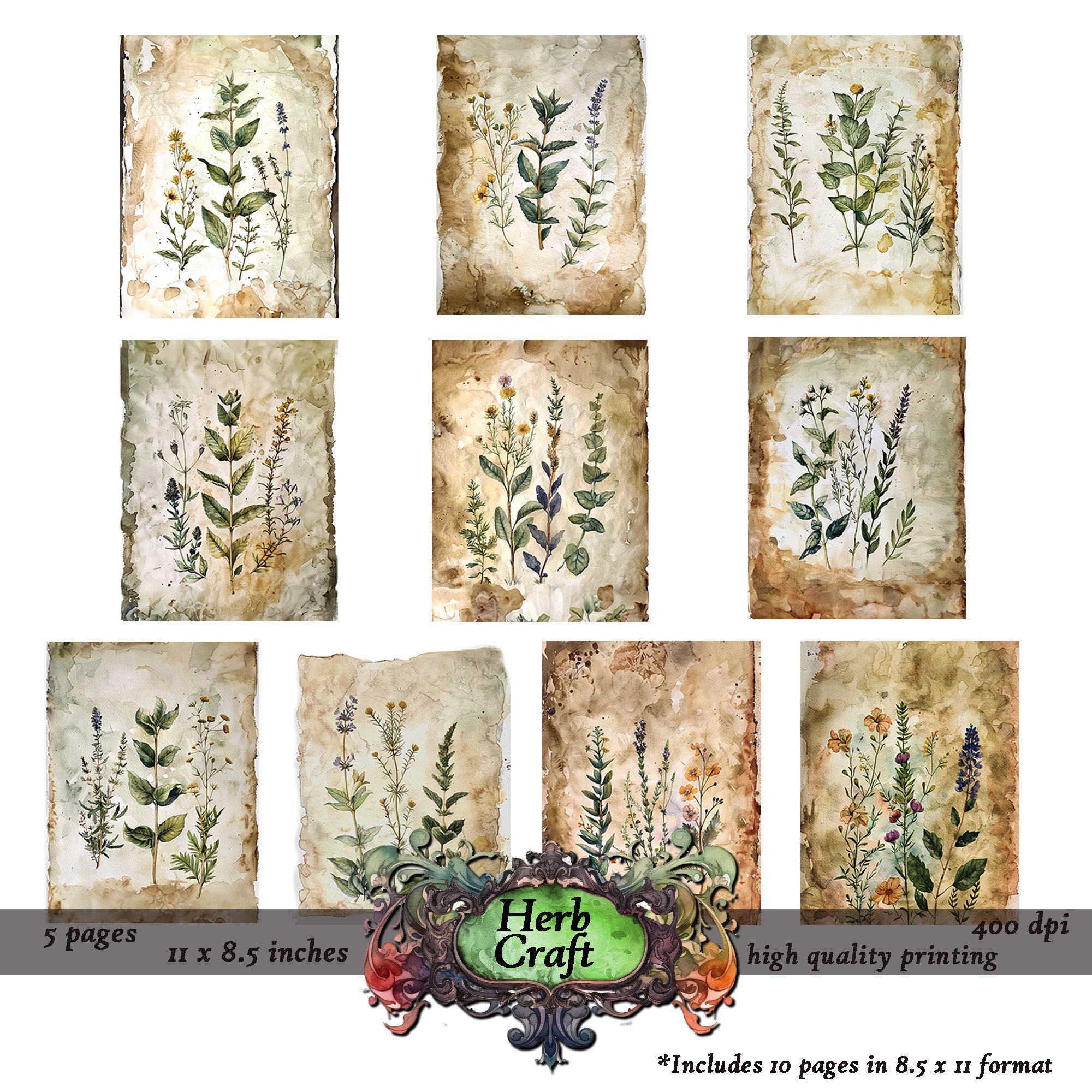 Herb Craft, Herbal Junk Journal Pages, Apothecary Digital Pages, Plant ...