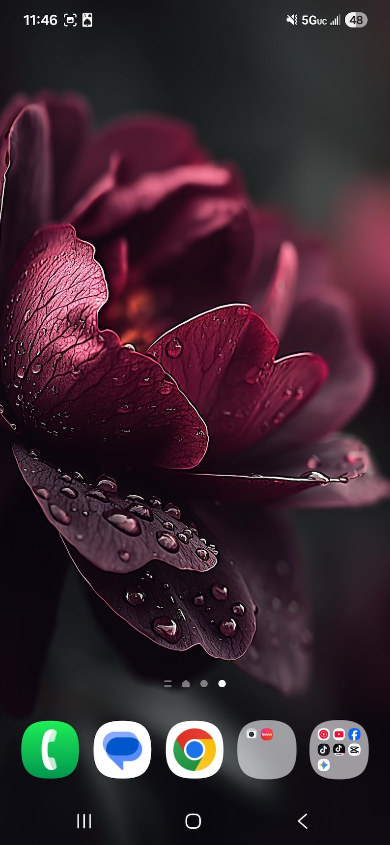 Serene Rose Animated Wallpaper Pack: Calming Phone Background (digital Download) - Etsy