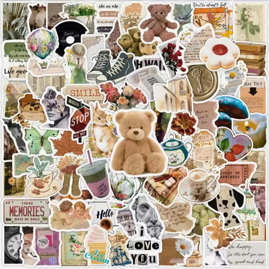 10/100PCS Aesthetic Pinterest Sticker Pack, Coquette Stickers for ...