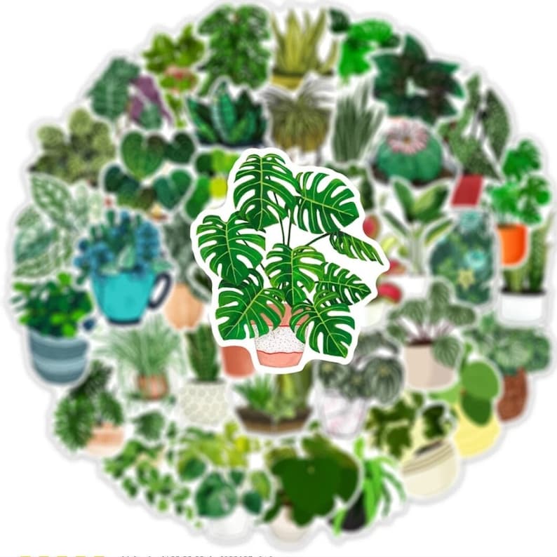 Boho Plant Vinyl Stickers - 50pc Waterproof Decal Set - Etsy