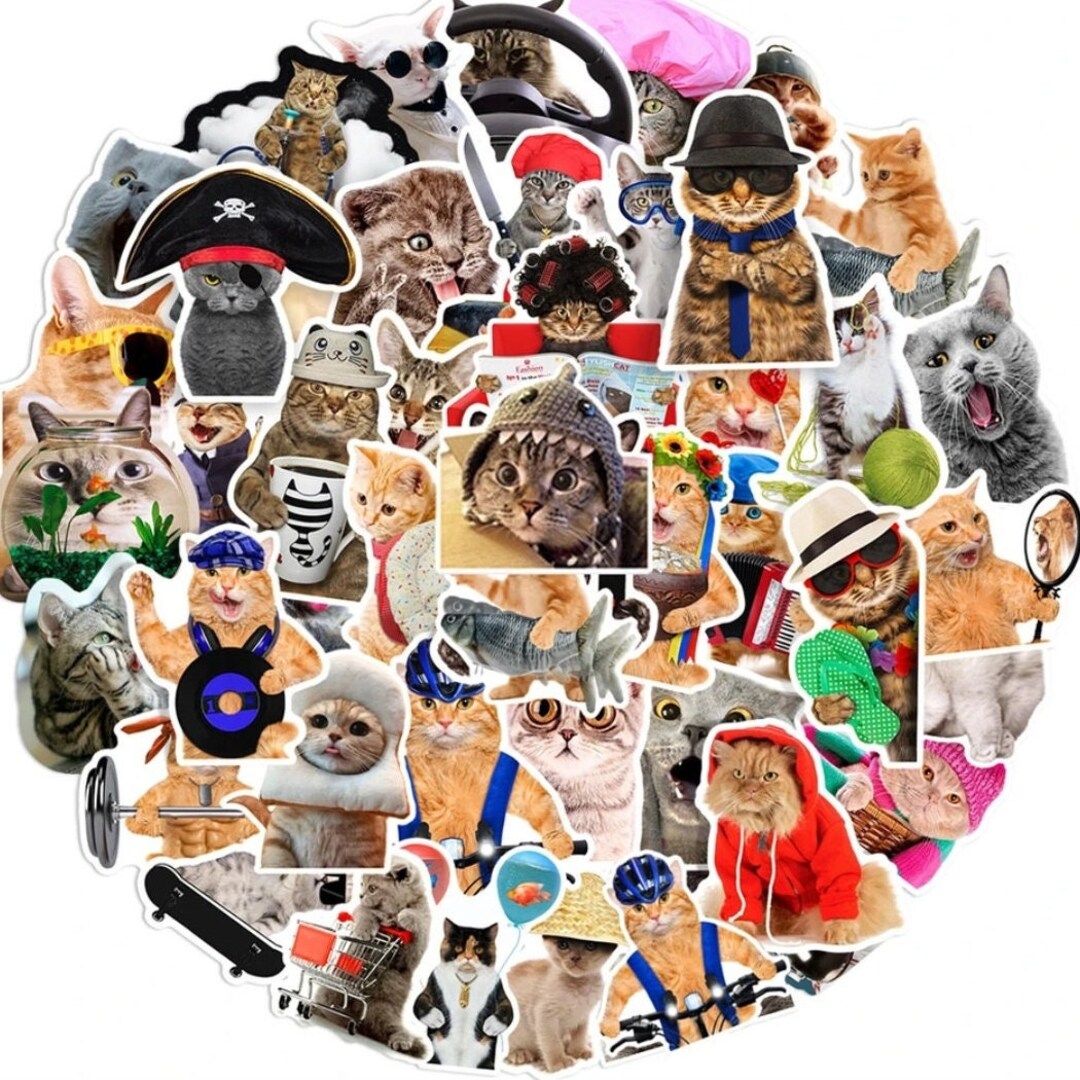 5-50 Pcs/pack Funny Cat Stickers, Meme Cat Stickers Kawaii Funny Gift ...
