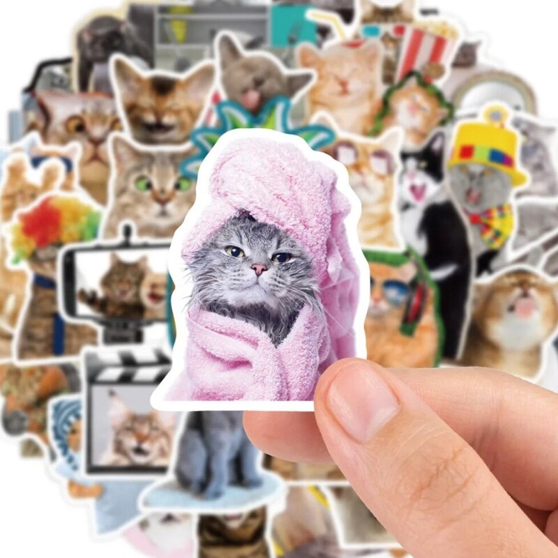 Cat Sticker - Etsy