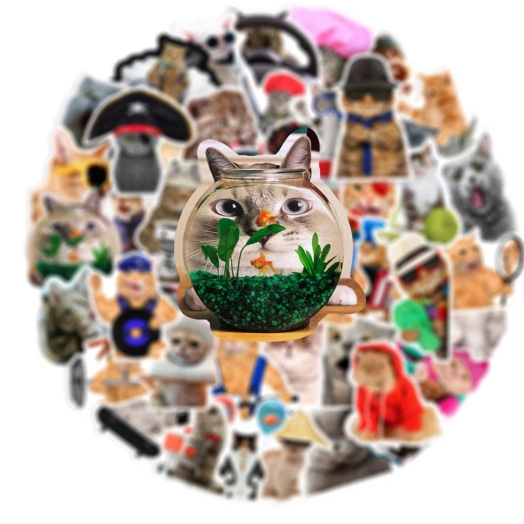 5-50 Pcs/pack Funny Cat Stickers, Meme Cat Stickers Kawaii Funny Gift ...