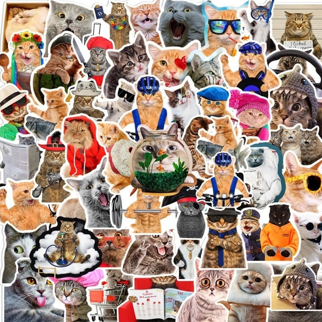 5-50 Pcs/pack Funny Cat Stickers, Meme Cat Stickers Kawaii Funny Gift ...