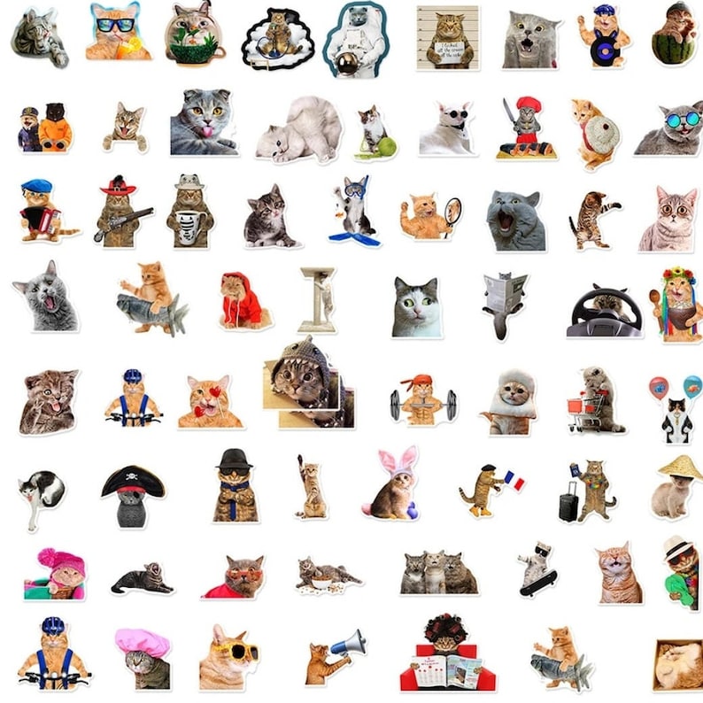 5-50 Pcs/pack Funny Cat Stickers, Meme Cat Stickers Kawaii Funny Gift ...