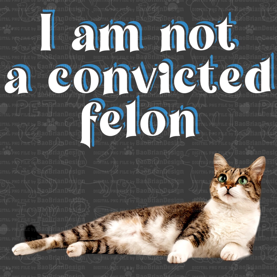 I Am Not A Convicted Felon Adorable Cat Saying Political, Cat Quote ...