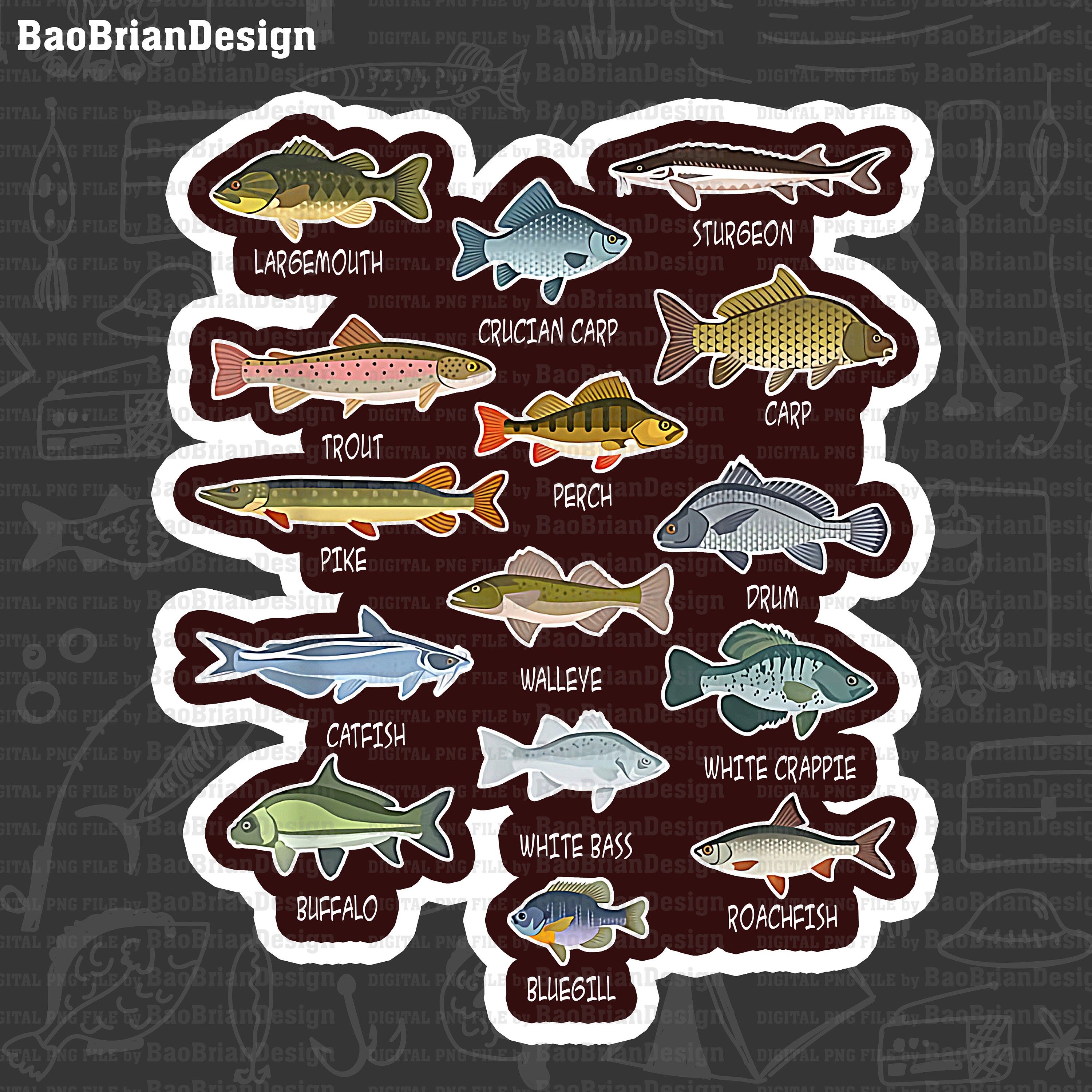 Types of Freshwater Fish Species Fishing Day Gift Svg,png Fishing ...