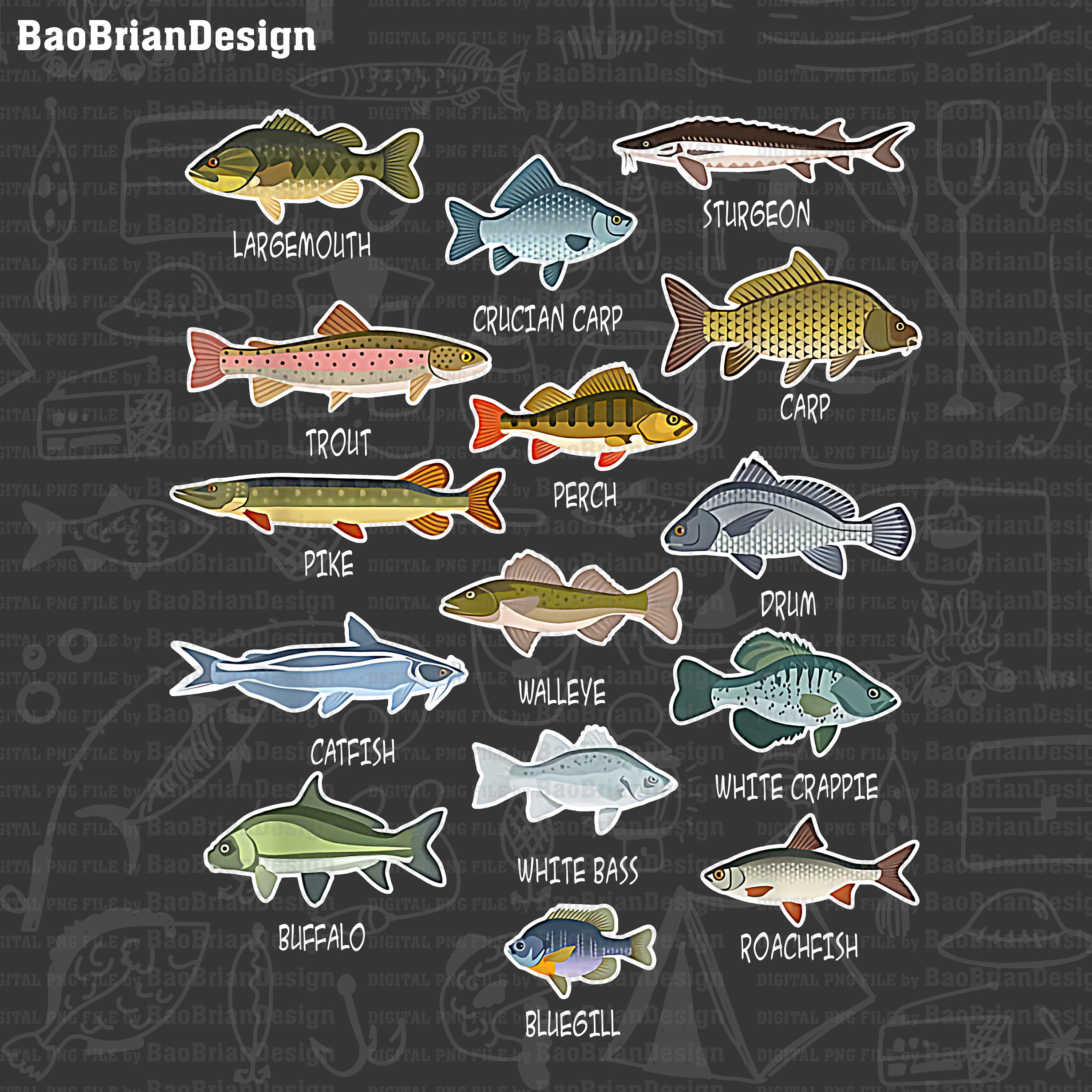 Types of Freshwater Fish Species Fishing Day Gift Svg,png Fishing ...